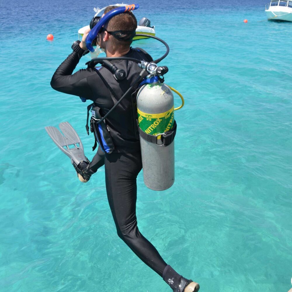 Dive Courses - Wellington SCUBA Diving - NZ Sea Adventures