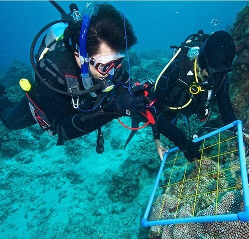 PADI Drysuit Diver Specialty - Wellington SCUBA Diving - NZ FUN