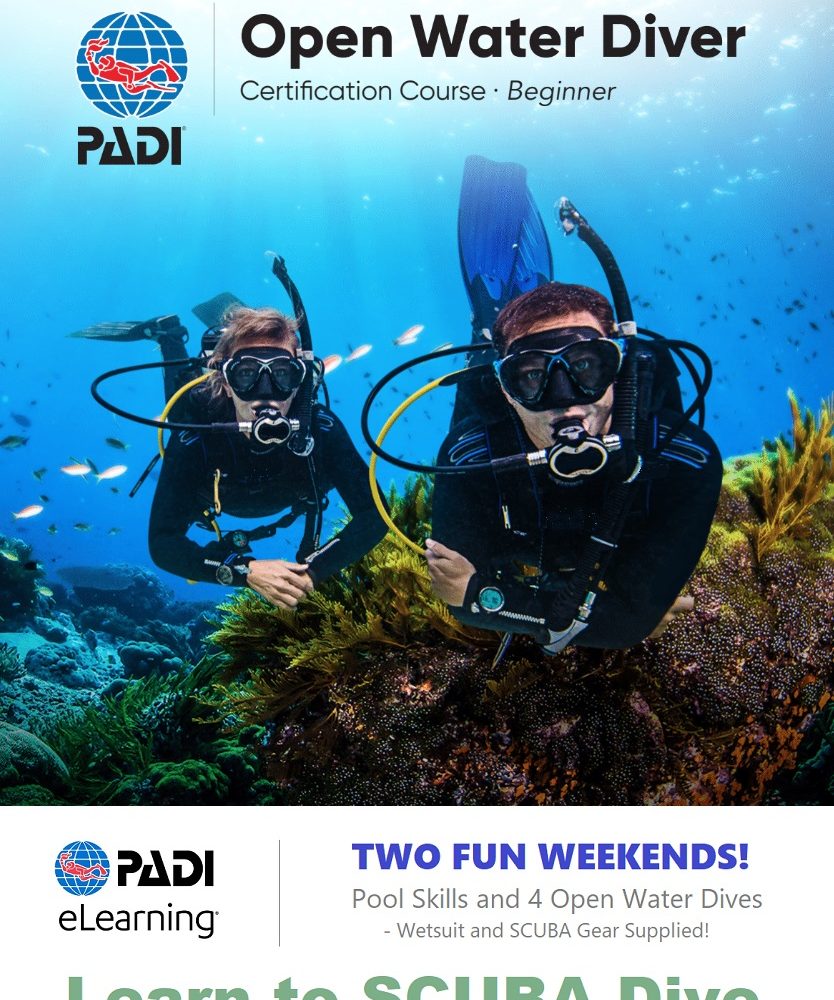 Atlantis Access M31 - New Zealand Sea Adventures