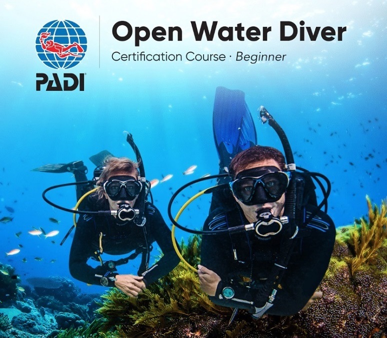 Dive Crew Offers - NZ Sea Adventures - Best Dive Shop in town!